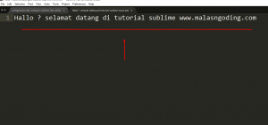 Tutorial Sublime Text Editor Part 5 : Mengatur Tampilan - Malas Ngoding