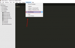 Tutorial Sublime Text Editor Part 7 : Key Bindings - Malas Ngoding