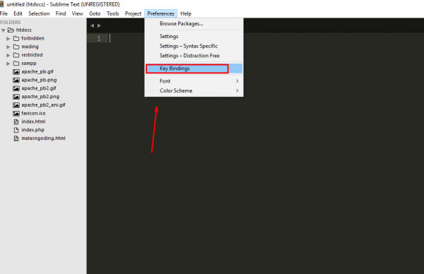 Tutorial Sublime Text Editor Part 7 : Key Bindings - Malas Ngoding