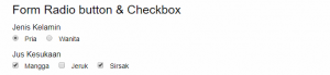 form radio button dan checkbox framework foundation - Malas Ngoding